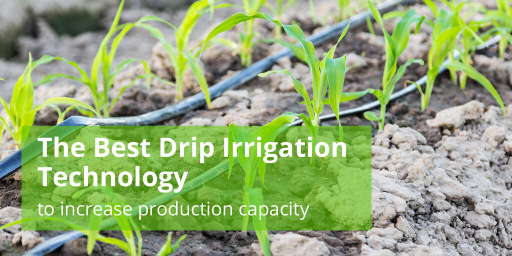 Best Drip Irrigation Technology to Increase Production Capacity