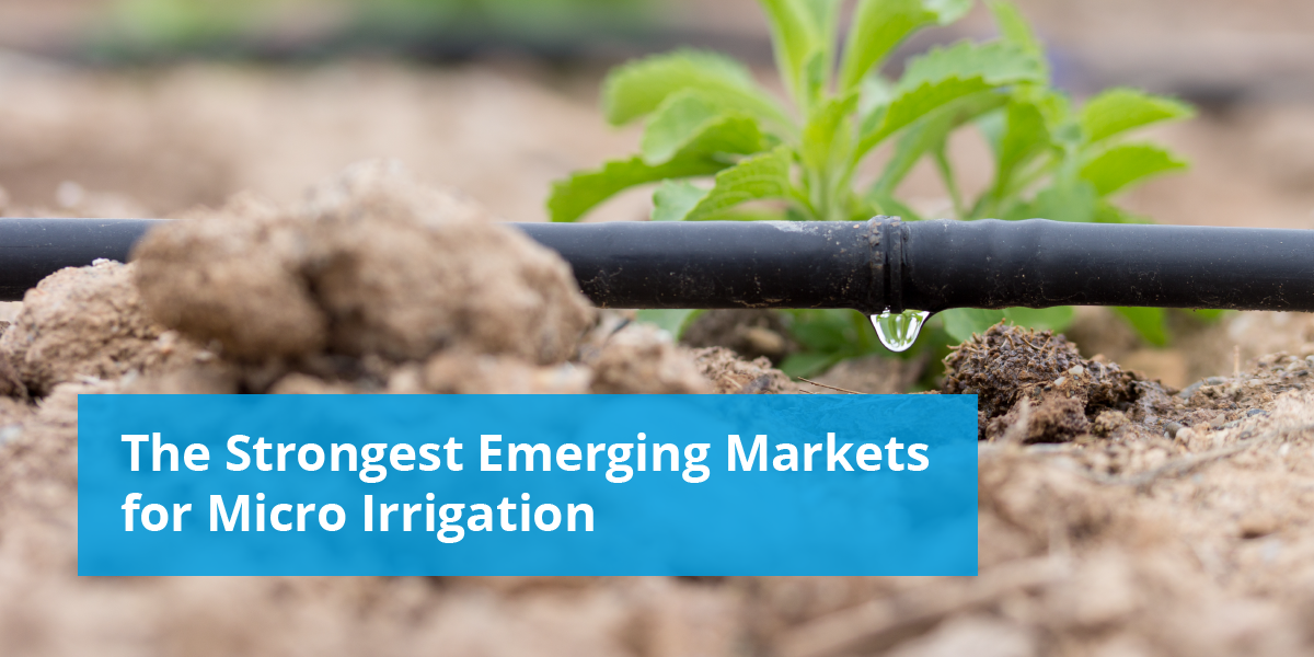 The Strongest Emerging Markets for Micro Irrigation